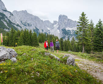 Original Tiroler Spezialitäten - HANDL TYROL